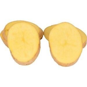 Kızartmalık Hollanda Agria Sarı Patates